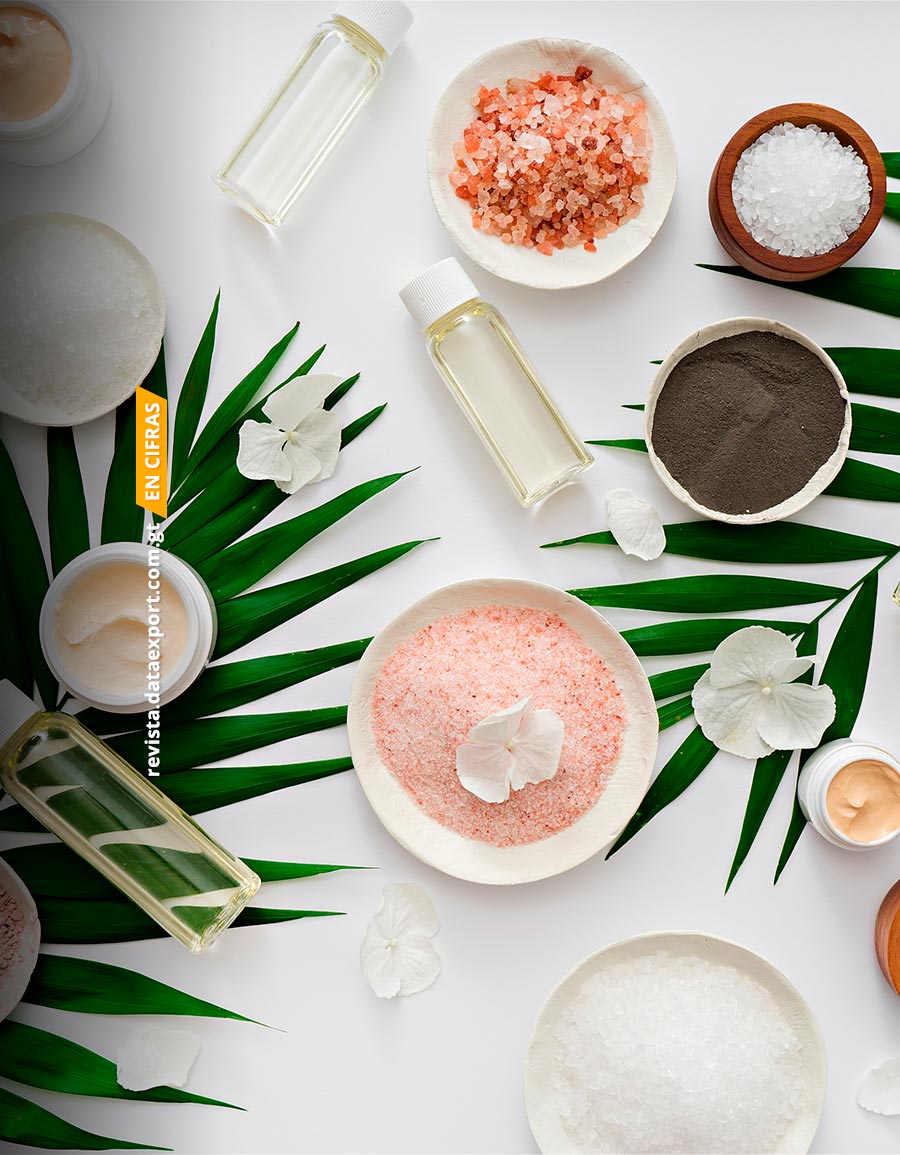 La Opción Ideal Para Conocer Las últimas Tendencias De Consumo En La ...